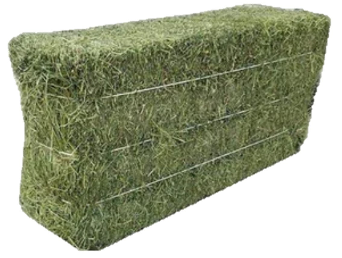 Premium Alfalfa 3 String Bale | Lebsock Feed